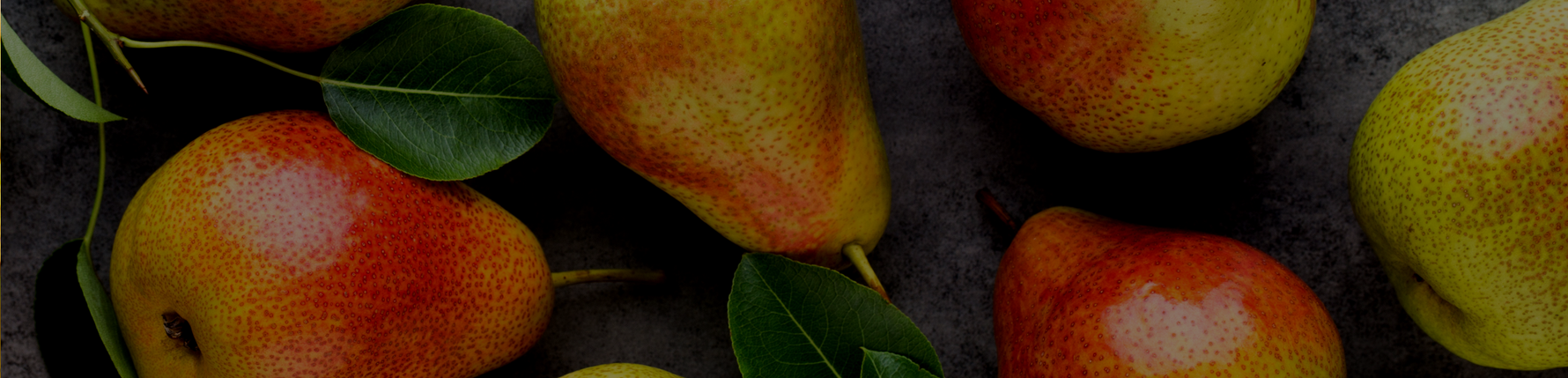 Fruit Loop – The Fruit Company®